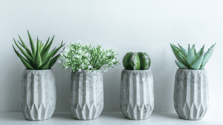 Flat Planters: Sleek Solutions for Modern Gardening